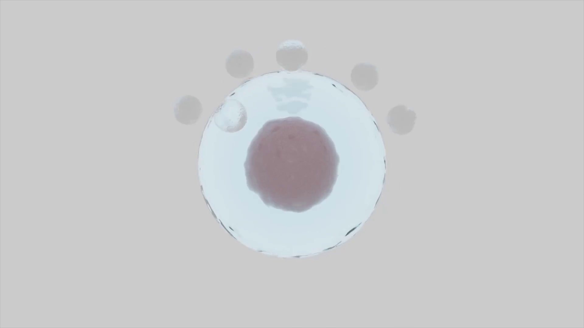 Balls Randomly Move Around Sphere Design Stock Motion Graphics SBV ...