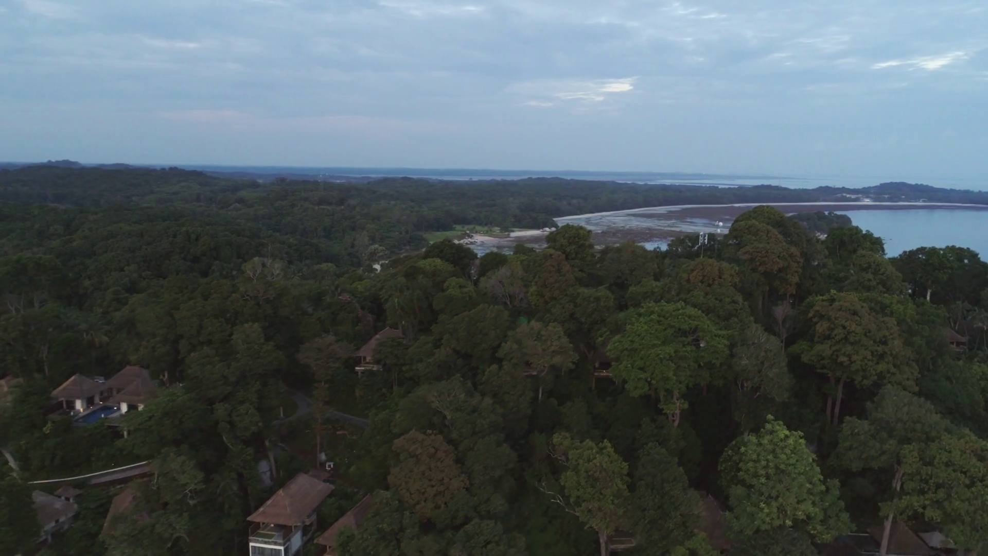 Moving Forward Aerial View Of Forests Among Stock Footage SBV-348579451 ...