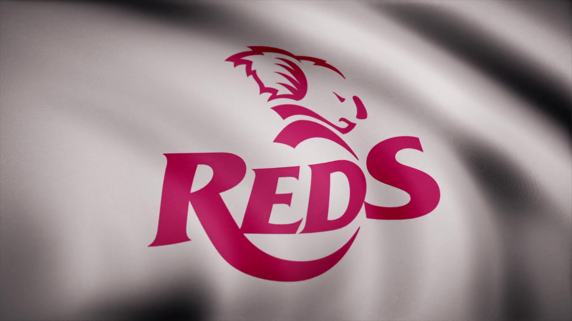Rugby Reds Flag Is Waving On Transparent Stock Footage SBV-348580052 ...