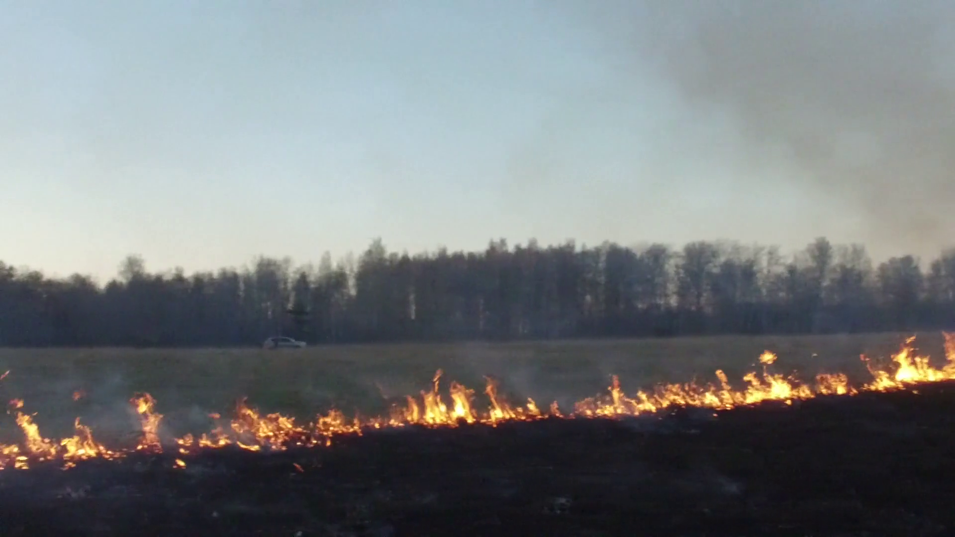 On Field Burning Dry Grass Footage Burning Stock Footage SBV-348578378 ...