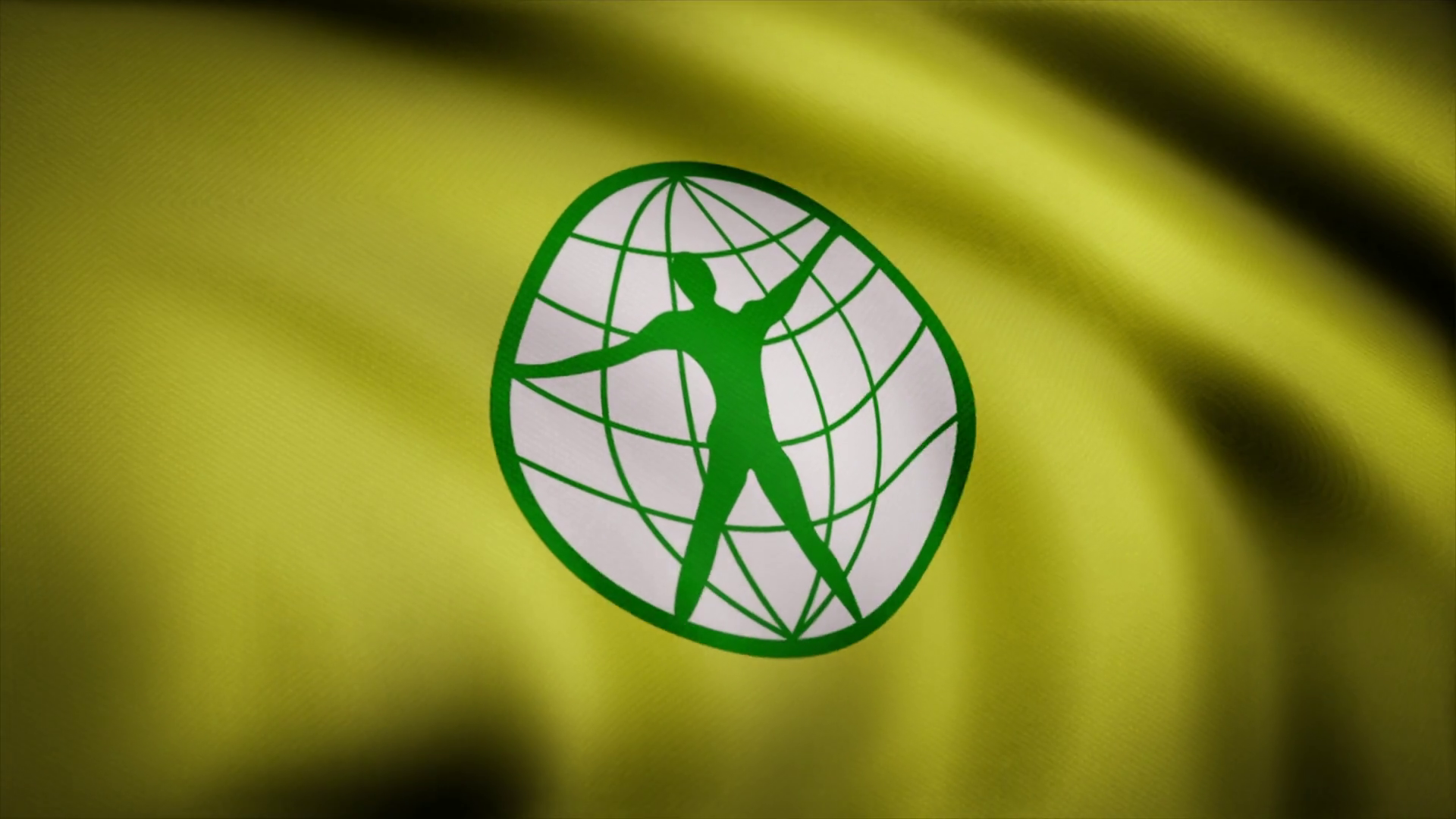 World Citizen Flag Waving On Wind Close-up Stock Footage SBV-348580058 ...