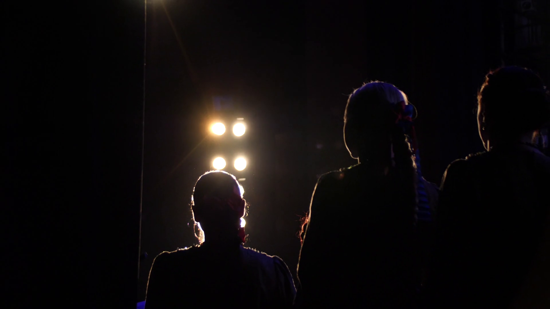 Silhouette Of Actors In Spotlight Artists On Stock Footage SBV ...