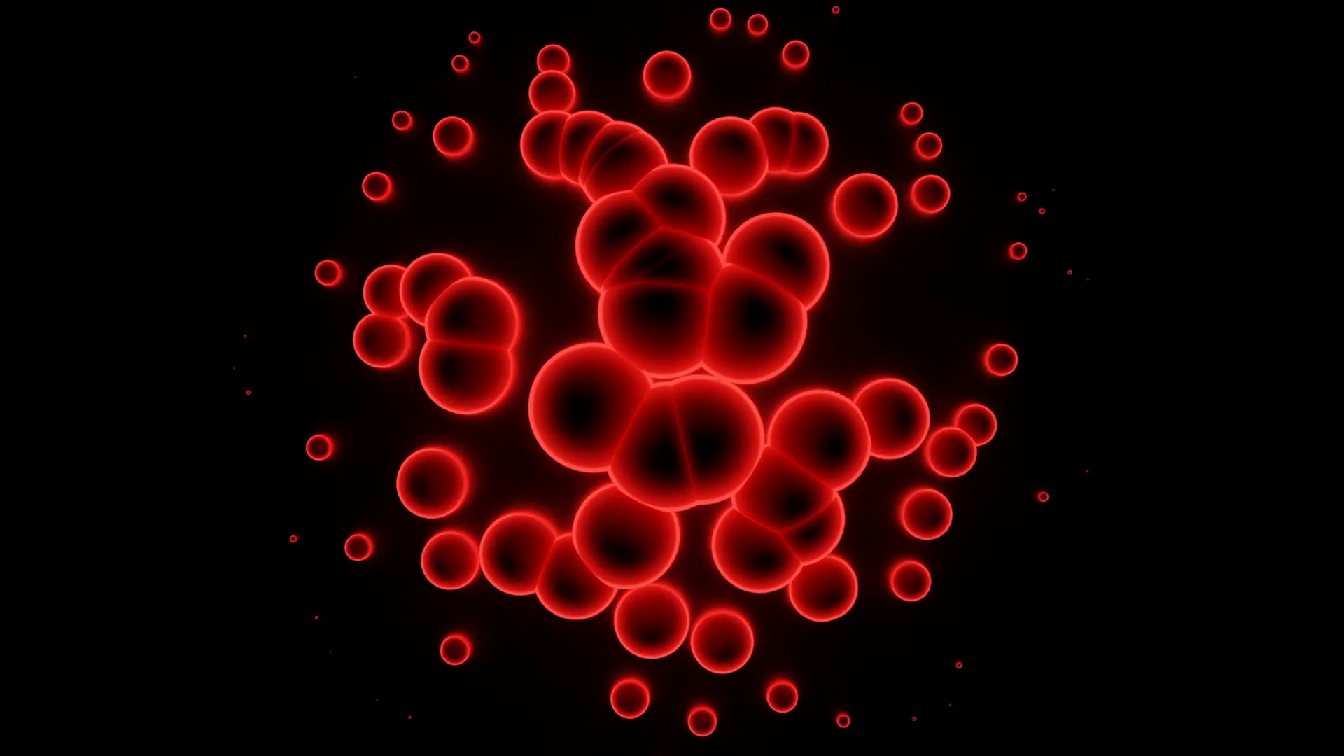 Animation Of Bacteria Under Microscope Stock Motion Graphics SBV ...