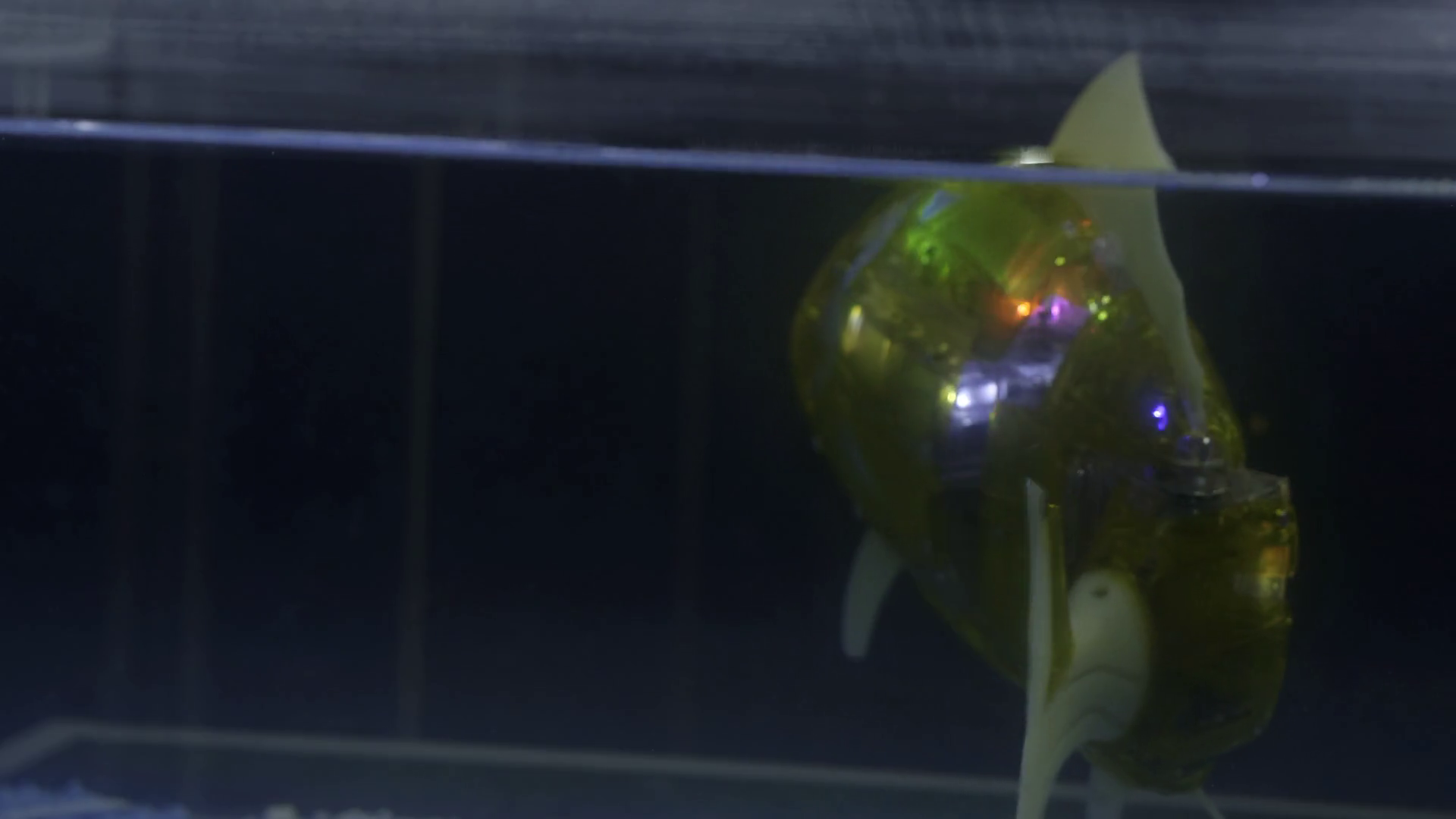 Fish Robot Hdr Green Fish With Light Fins Stock Footage SBV-348591941 ...