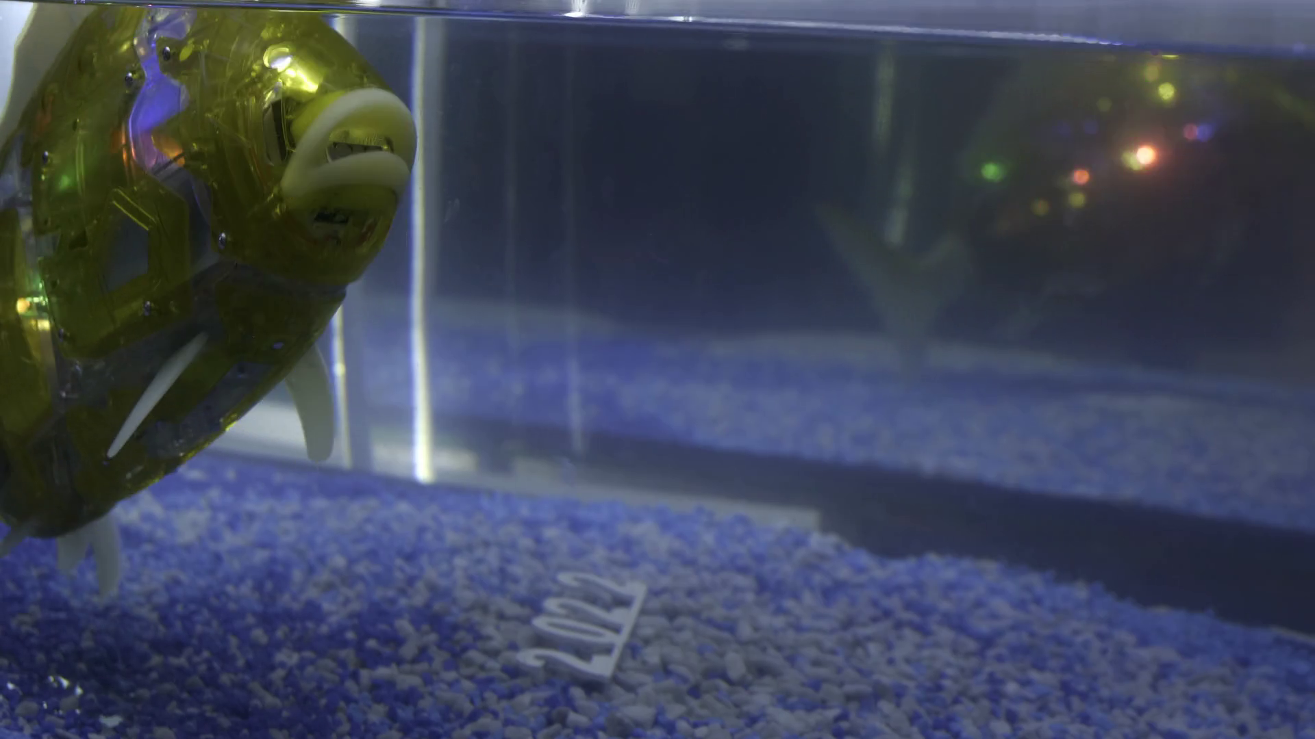 Robot Fish In Aquarium Hdr Glowing Flashing Stock Footage SBV-348592634 ...