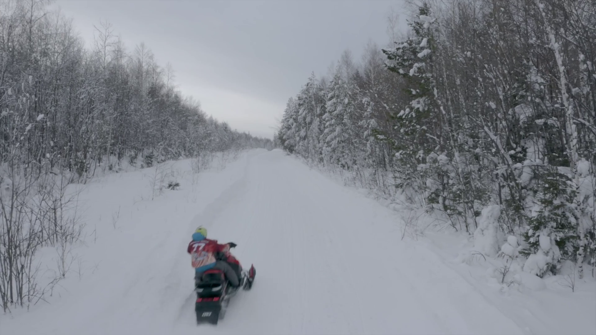 Snowmobile On Winter Forest Highway Clip Stock Footage SBV-348583519 ...
