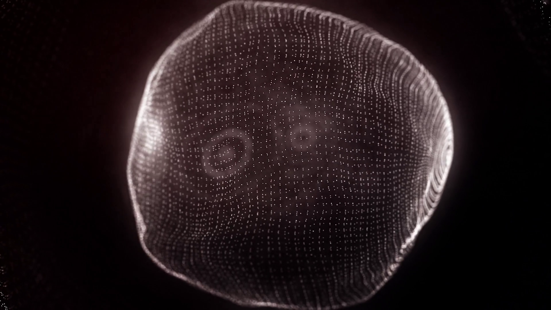 Metamorphose Of Amorphous Shape From Dots Stock Motion Graphics Sbv