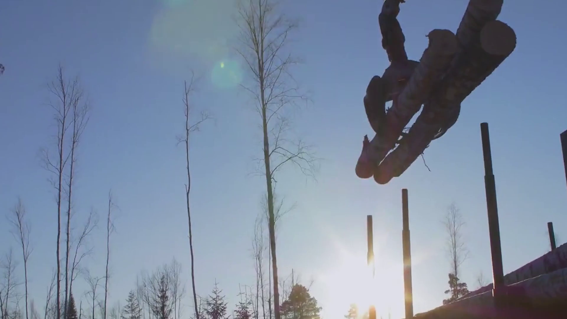 Preparation Planting Trees Cutting Of Trees Stock Footage SBV-348585593 ...