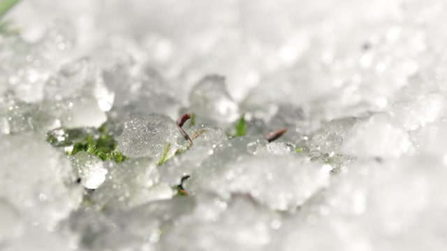 Melting Snow Melting Ice Spring Water Spring Time Stock Footage ...