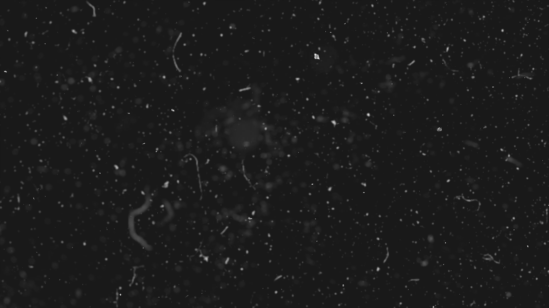 White Dust Particles Moving Slowly In Space Stock Motion Graphics SBV ...