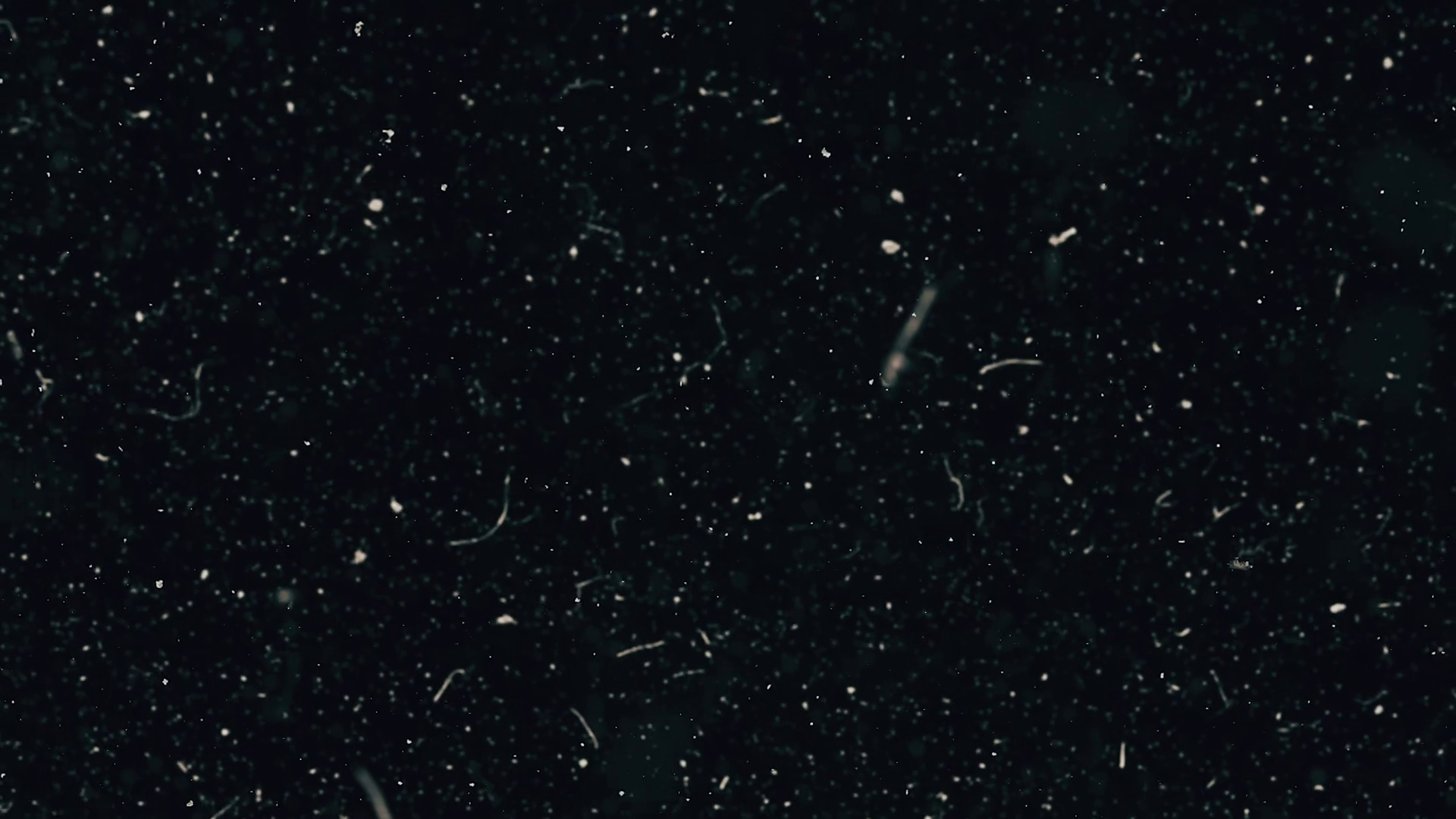 Dust Particles Falling On Black Background Stock Motion Graphics SBV ...