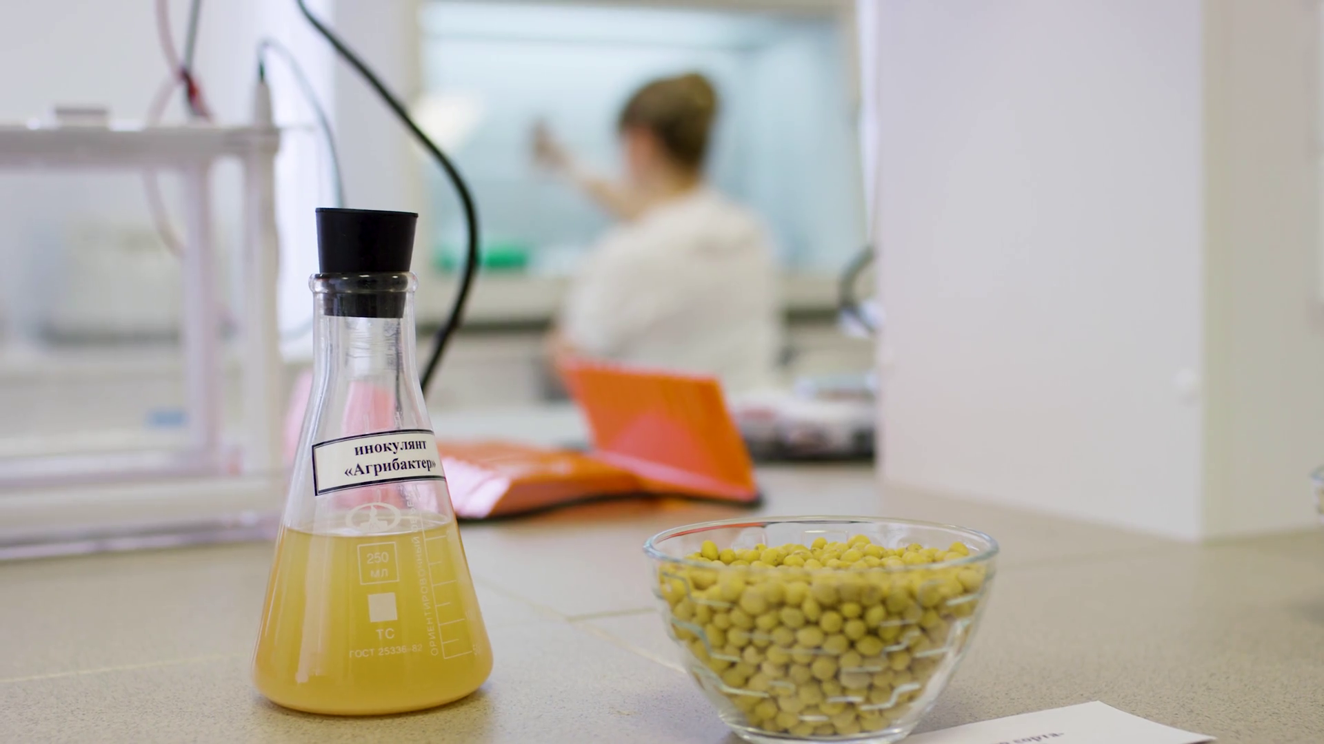 Young Female Nutritionist Testing Food Stock Footage SBV-348586910 ...