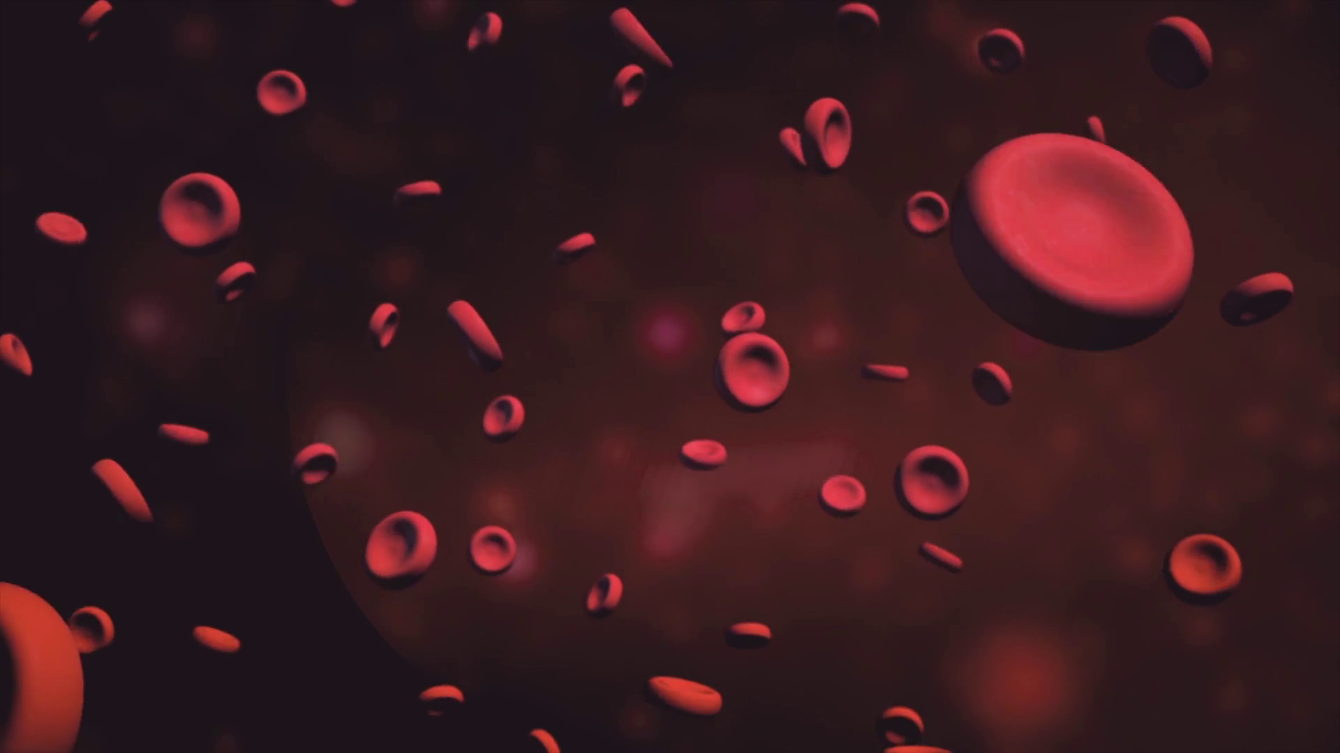 3d Animation Of Red Blood Cells Flowing Stock Motion Graphics SBV ...