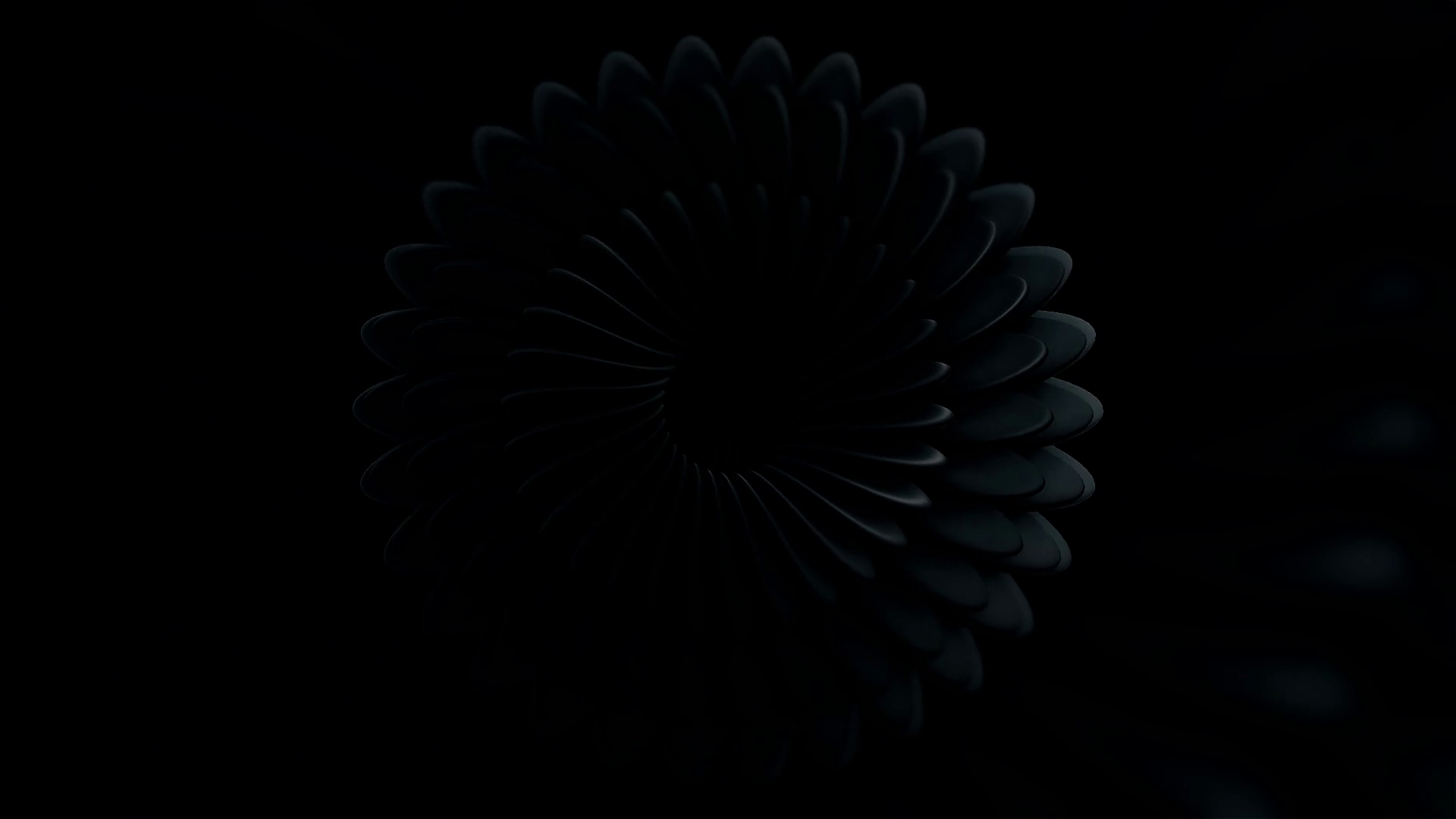 Round Moving Pattern With Petals Motion 3d Stock Motion Graphics SBV ...