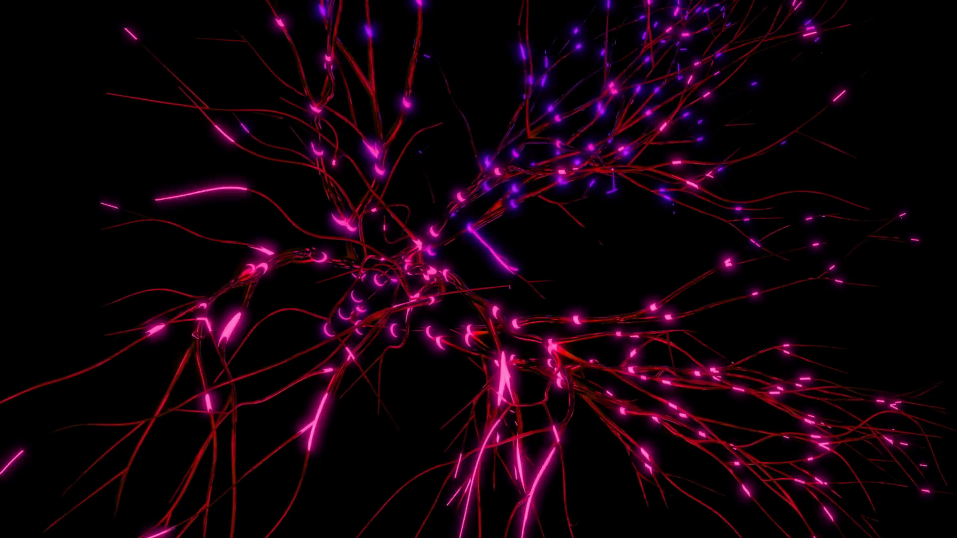 Neurons Neural Connections Concept Of Stock Motion Graphics SBV ...