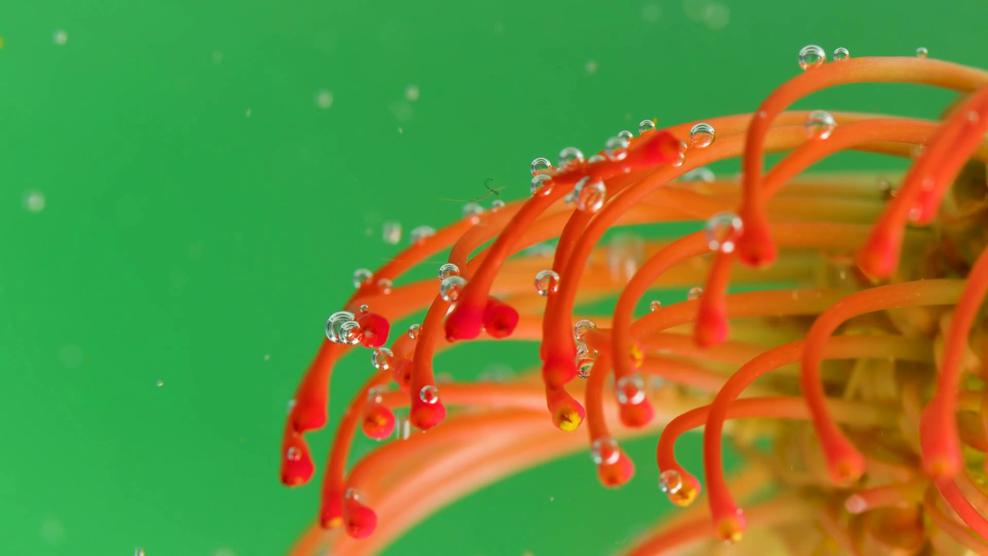Green Background Stock Footage Water With Stock Footage SBV-348616194 ... Green Background Stock Footage Water With Stock Footage SBV-348616194 ...