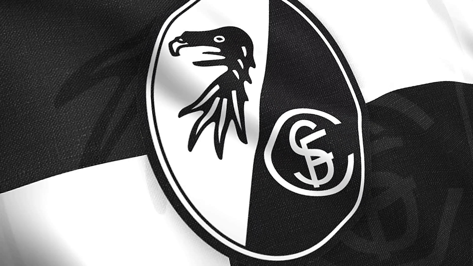 Flag With Emblem Of German Football Team Stock Motion Graphics SBV ...