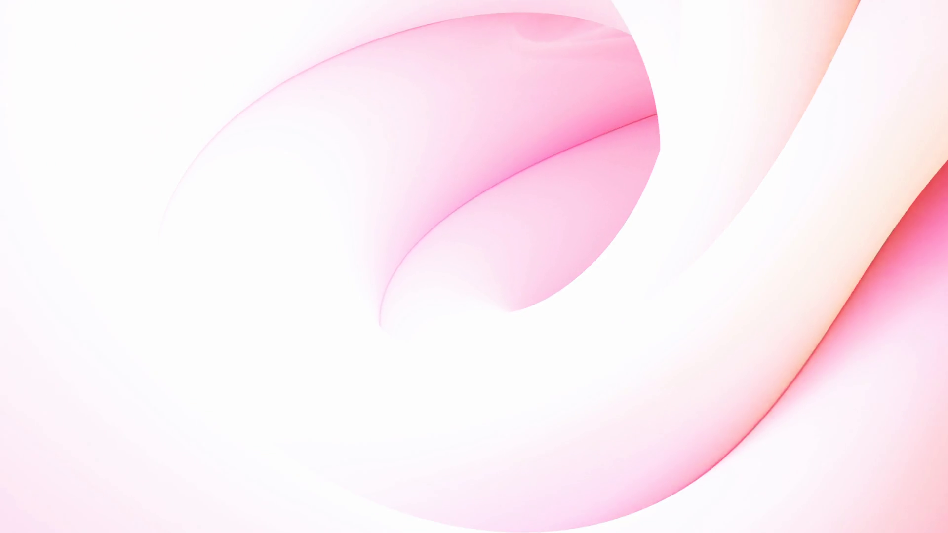 Pink Background Design Pink Jelly In Stock Motion Graphics SBV ...