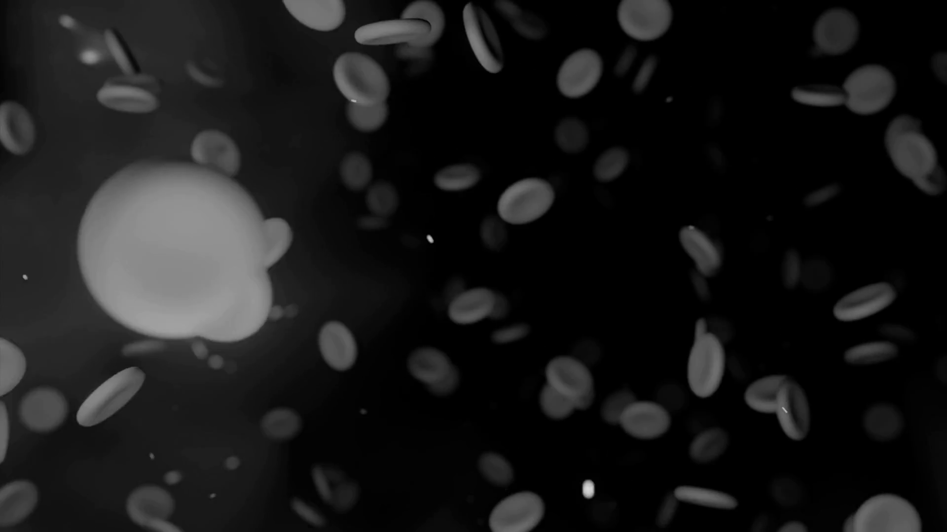 Red Blood Cells Moving In Bloodstream In Stock Motion Graphics SBV ...