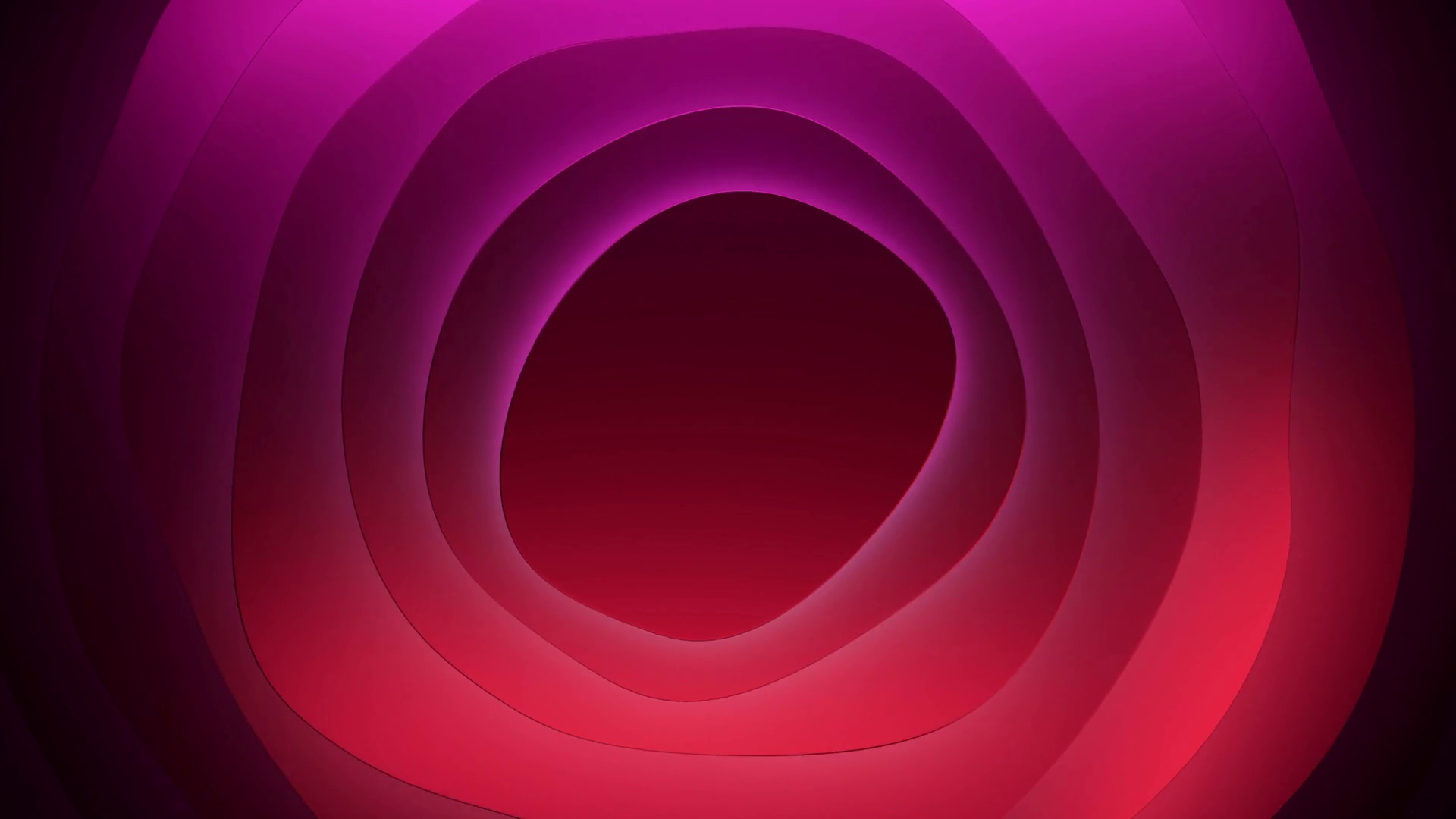 Pink Concentric Circles Stock Motion Graphics SBV-348672245 - Storyblocks