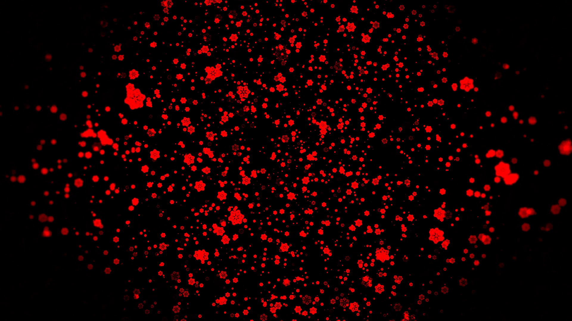 Abstract Red Flower Shaped Particles Flying Stock Motion Graphics SBV ...