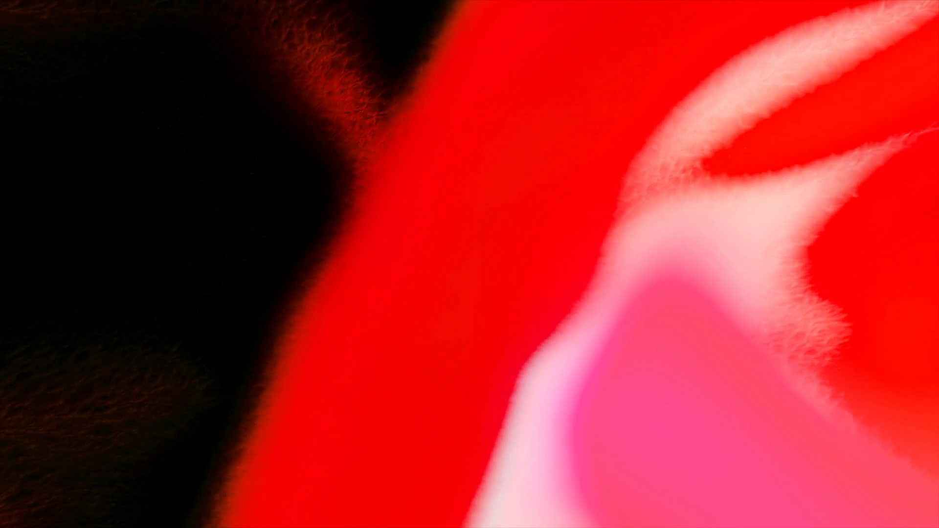 Red Pink Rays Of Light Motion Black With Stock Motion Graphics SBV ...