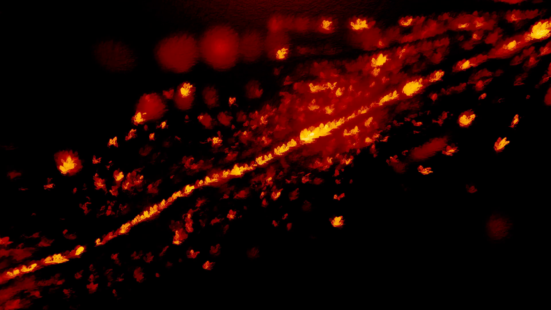 Abstract Rays Of Shining Particles On Black Stock Motion Graphics SBV ...