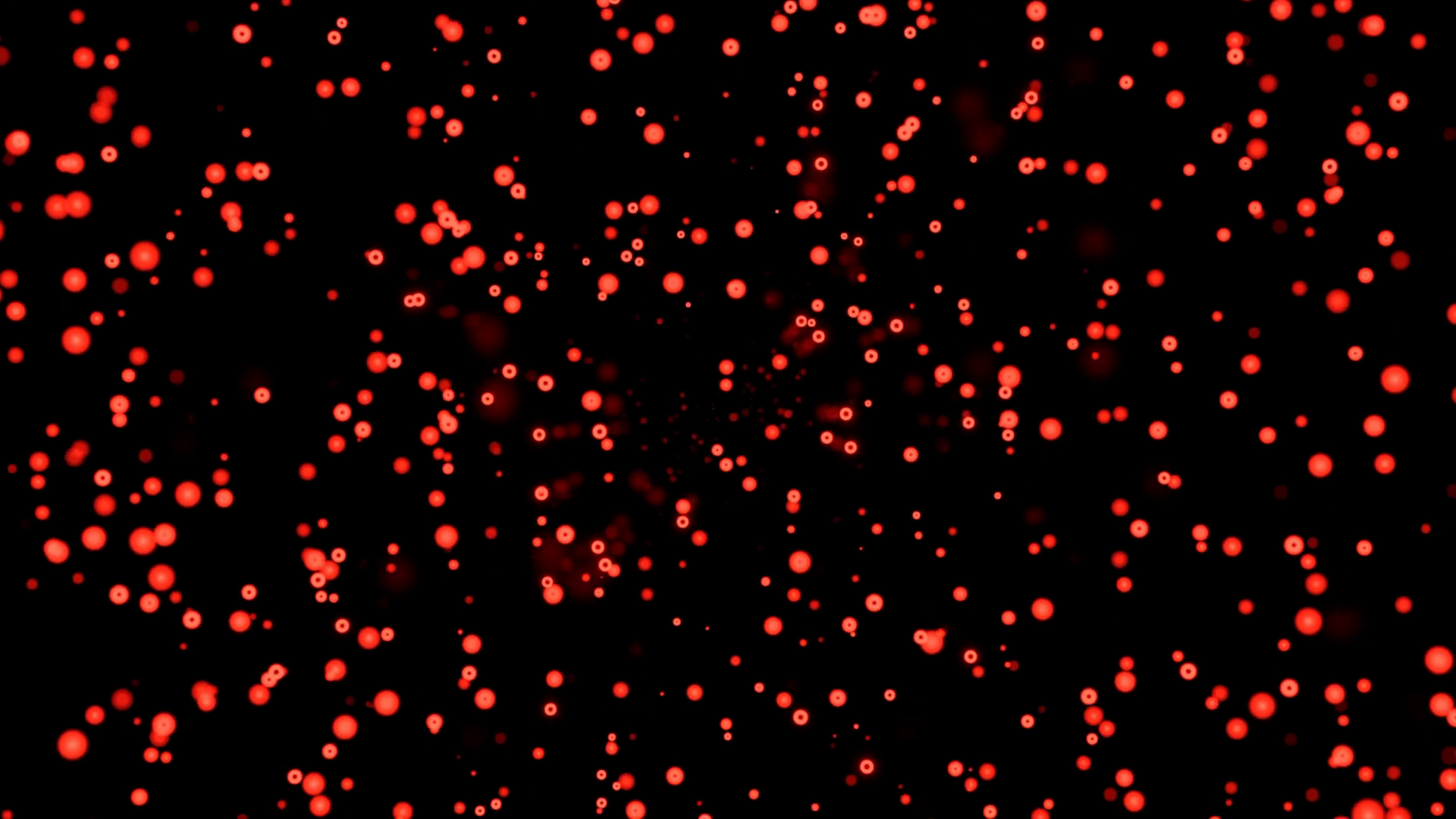 Animation Of Red Confetti Explosion Design Stock Motion Graphics SBV-348853303 - Storyblocks