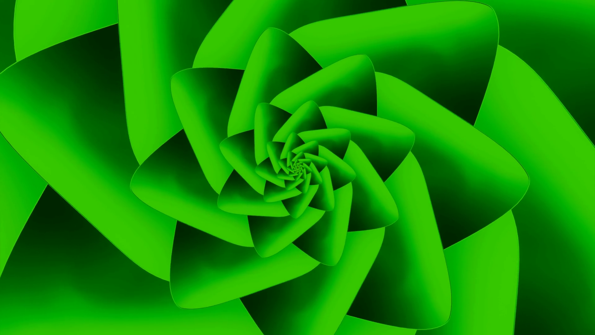 Abstract Spinning Digital Floral Shapes Stock Motion Graphics SBV ...