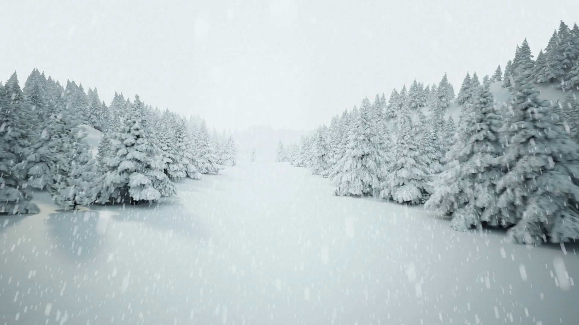 Winter Landscape With Pine Trees During Stock Motion Graphics SBV ...