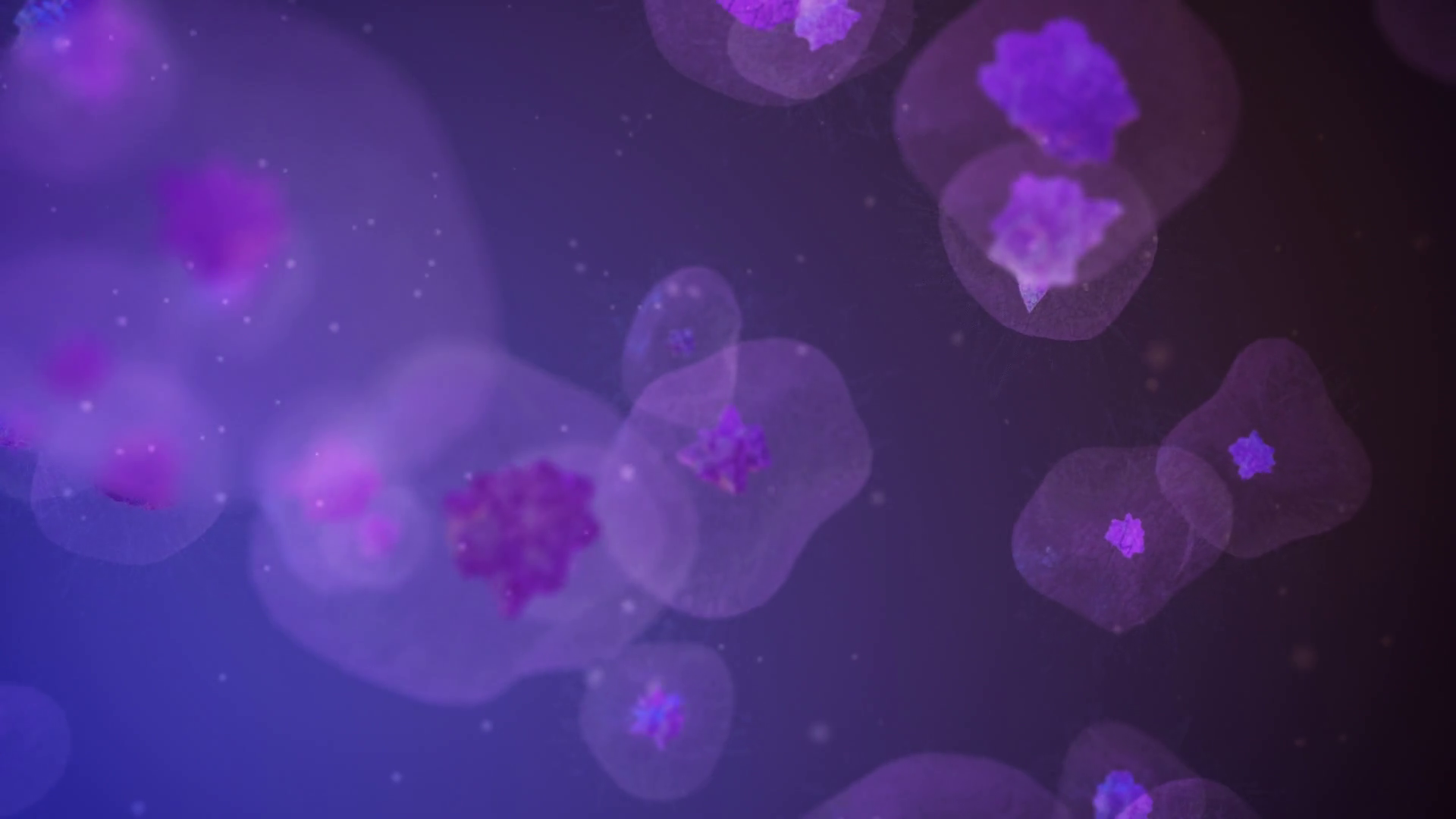 3d Animation Of Generic Cells Bacteria Stock Motion Graphics SBV ...