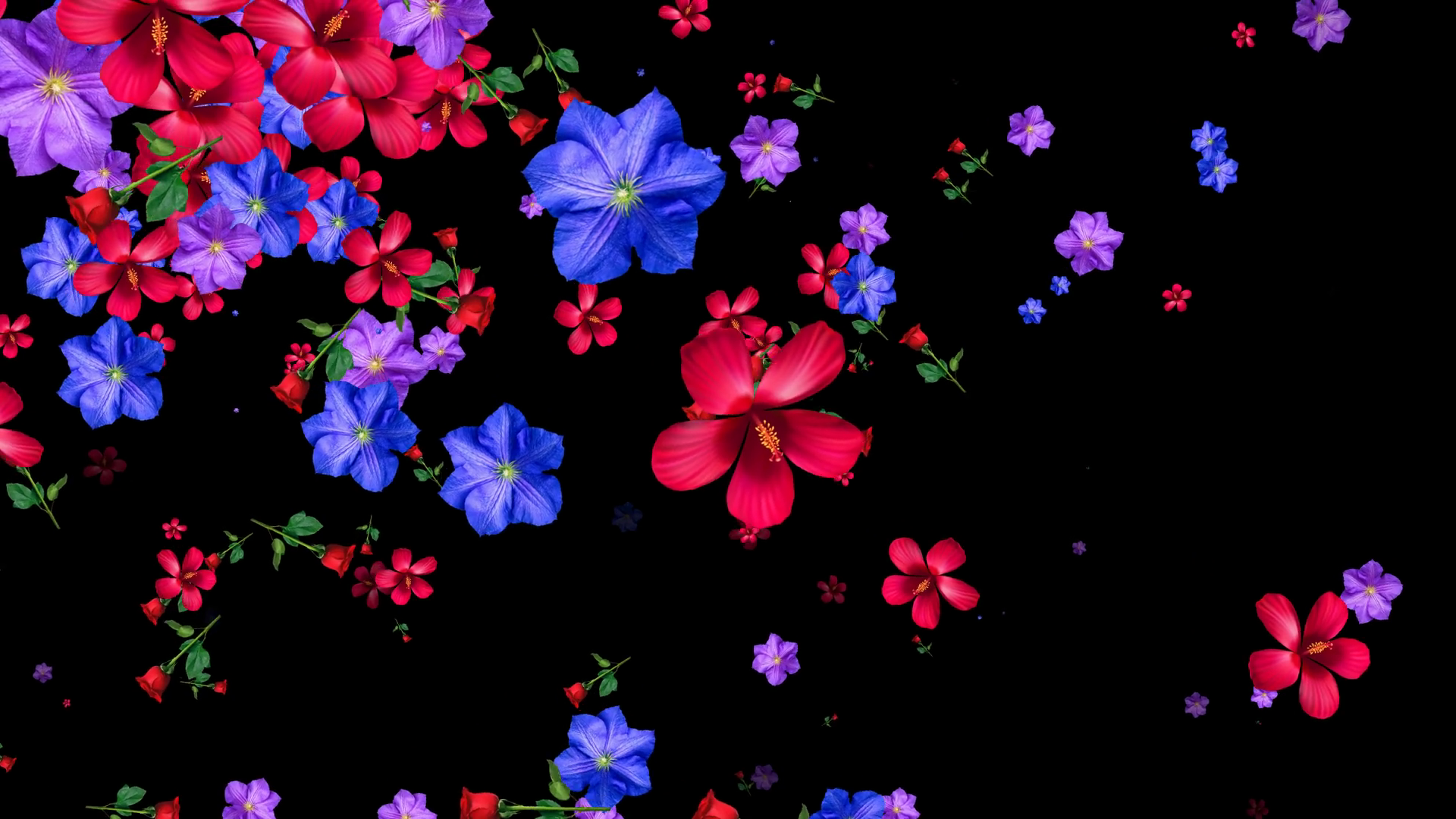 Flowers Falling Seamless Loop Alpha Seamless Stock Motion Graphics SBV ...