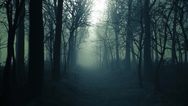 Light Trail | Effects and Overlays motion backgrounds - Storyblocks