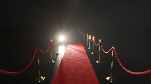 Carpet | Effects and Overlays motion backgrounds - Storyblocks