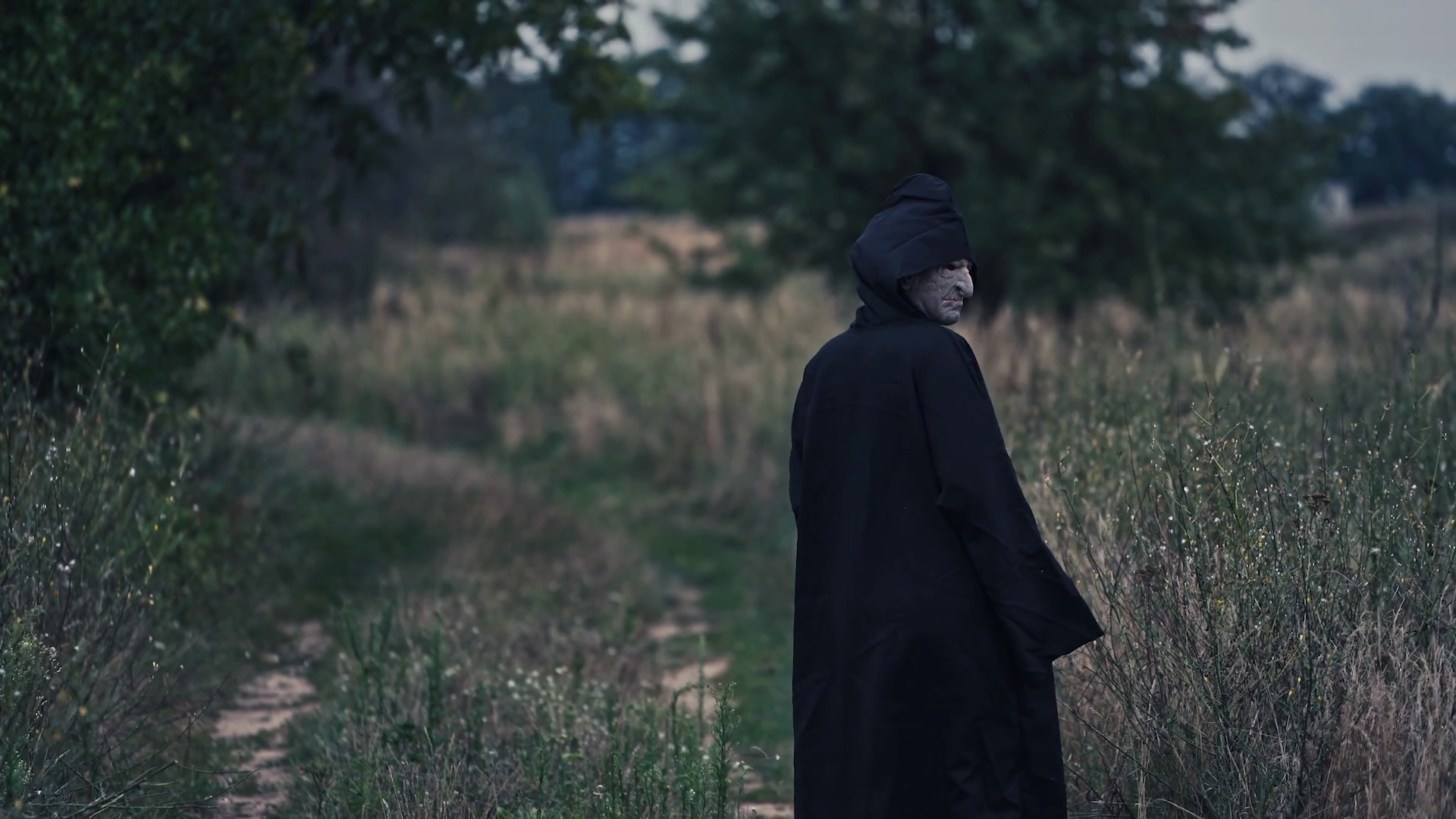 Backside Portrait Of Death In Nature Dark Stock Footage SBV-352784011 ...