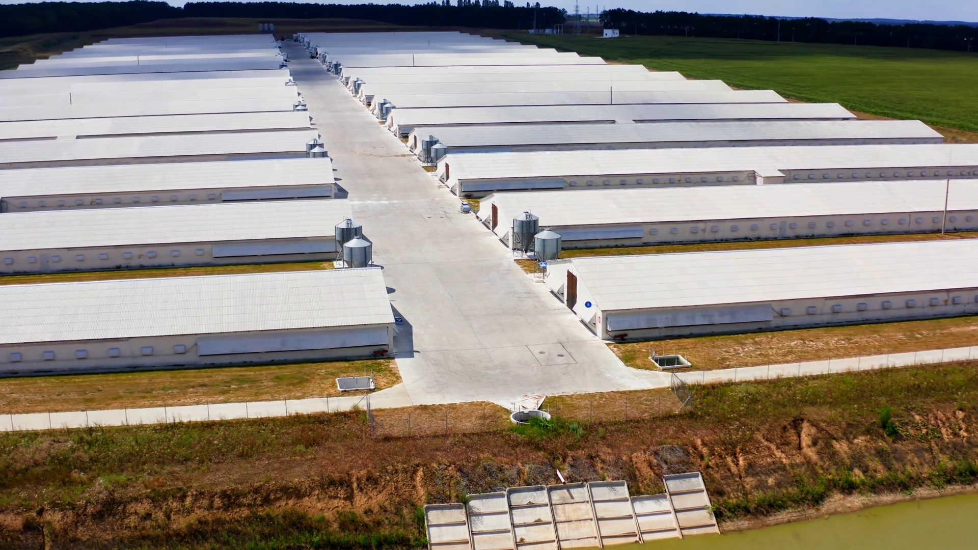 Line Of Storehouses In Green Field On Summer Stock Footage SBV ...