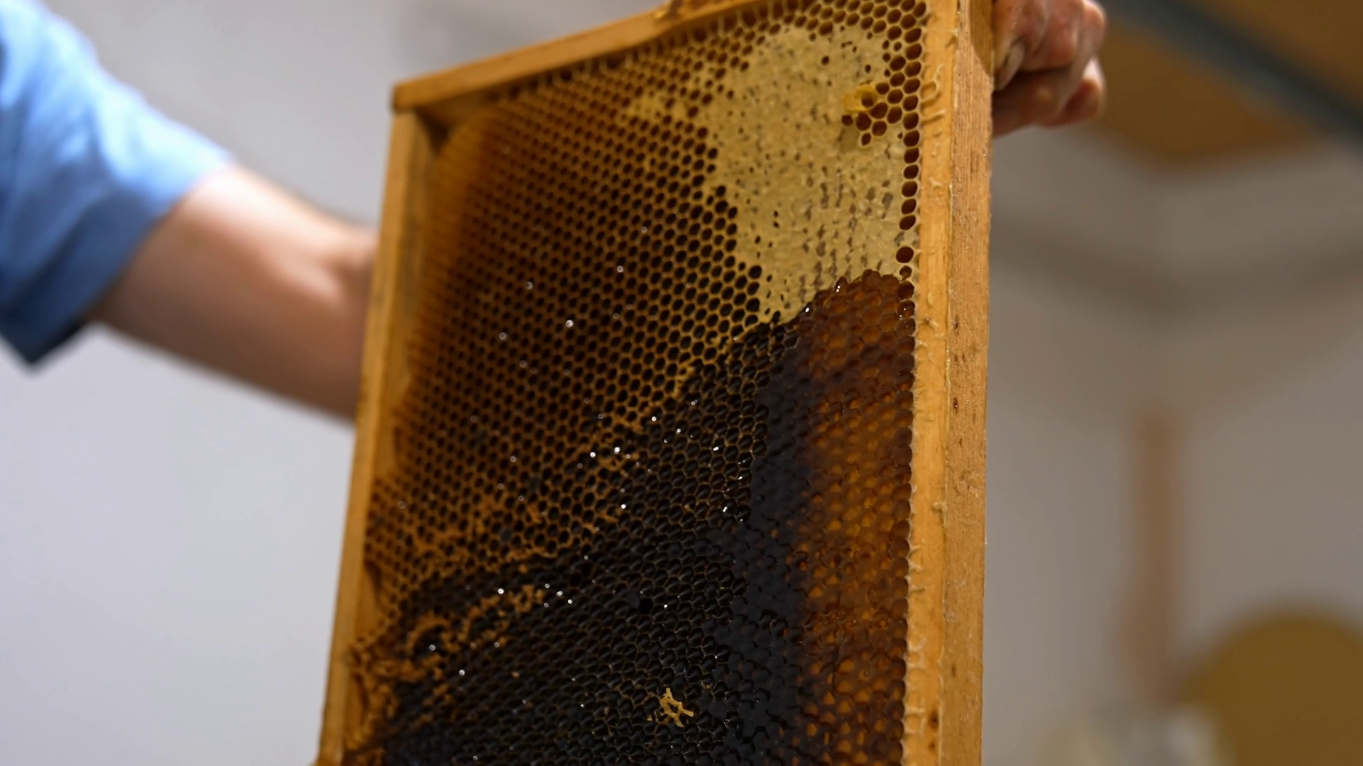 Preparing Honey Frames Extraction In Machine Stock Footage SBV ...