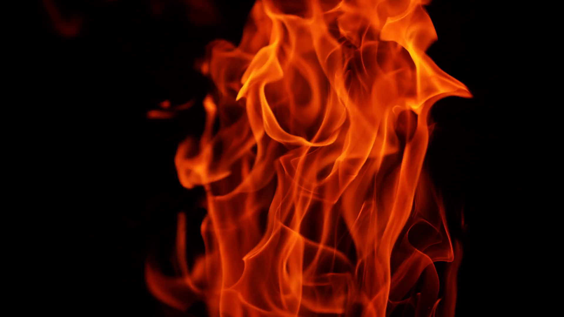 Red Fire Flames Moving In Wind Blaze In Stock Footage SBV-352779357 ...