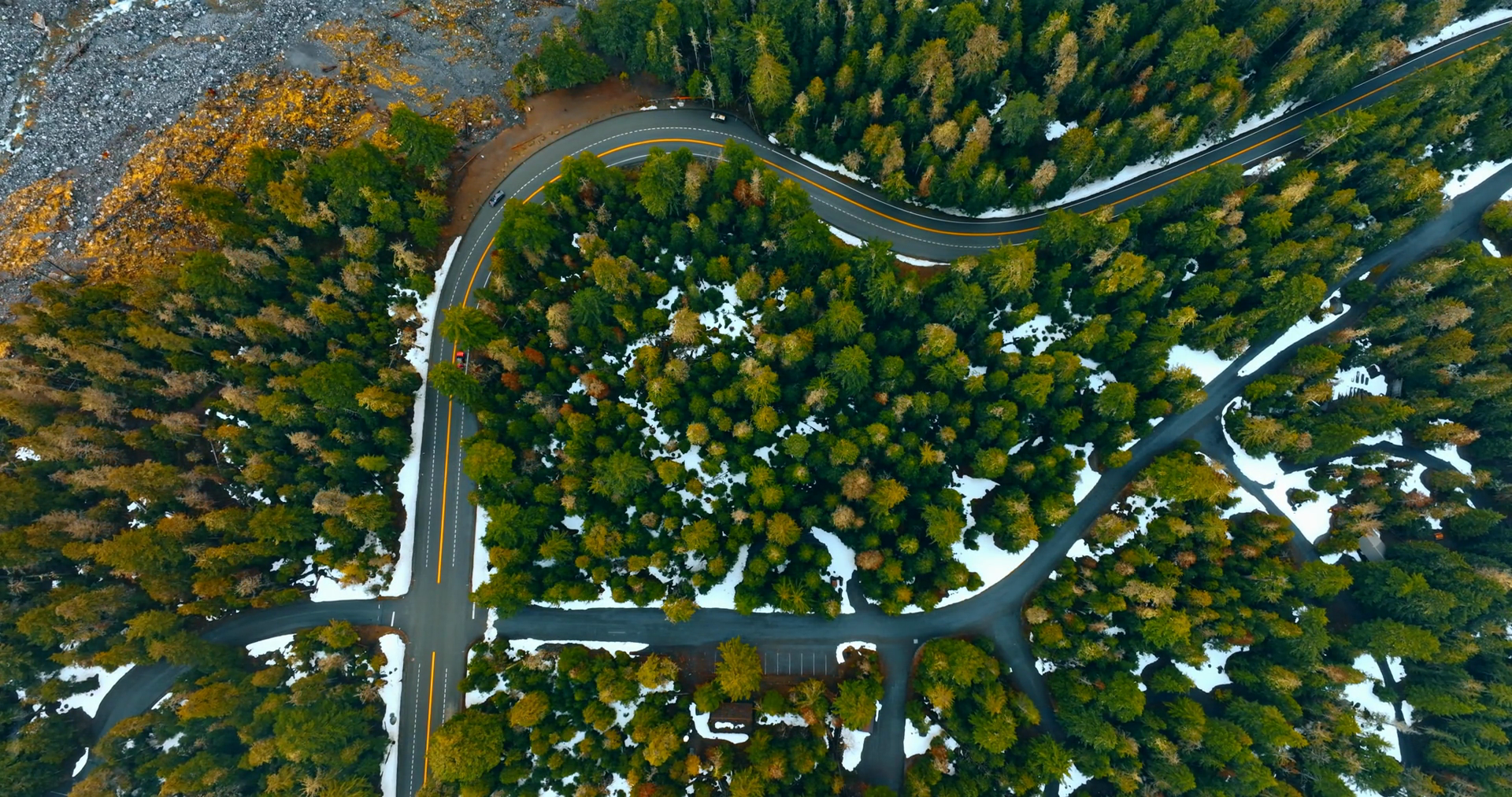 Two Asphalt Roads Cross In Pine-tree Forest Stock Footage SBV-352817429 ...