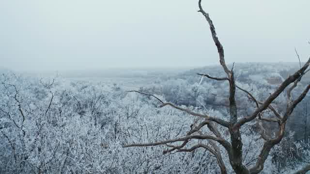 Sceneclip Stock Footage: Royalty-Free Video Clips - Storyblocks