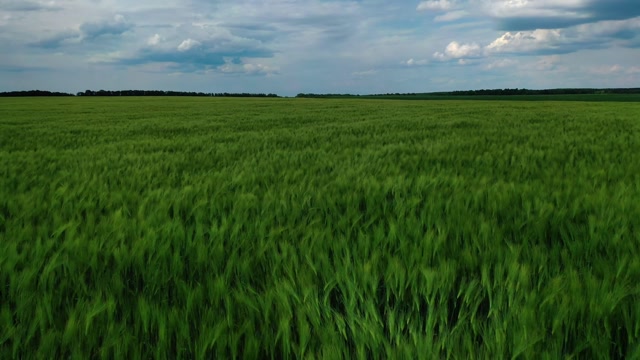 Large Video Clip Stock Footage: Royalty-Free Video Clips - Storyblocks