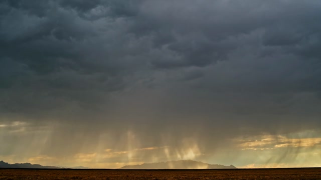 Rain Cell Stock Footage: Royalty-Free Video Clips - Storyblocks