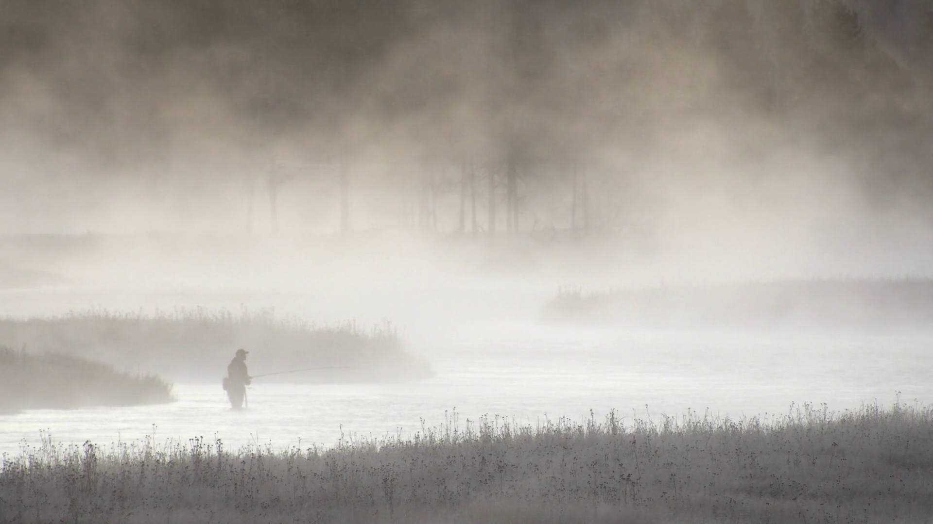 Fly Fisherman Casting Fog Rises From River Stock Footage SBV-348696080 ...