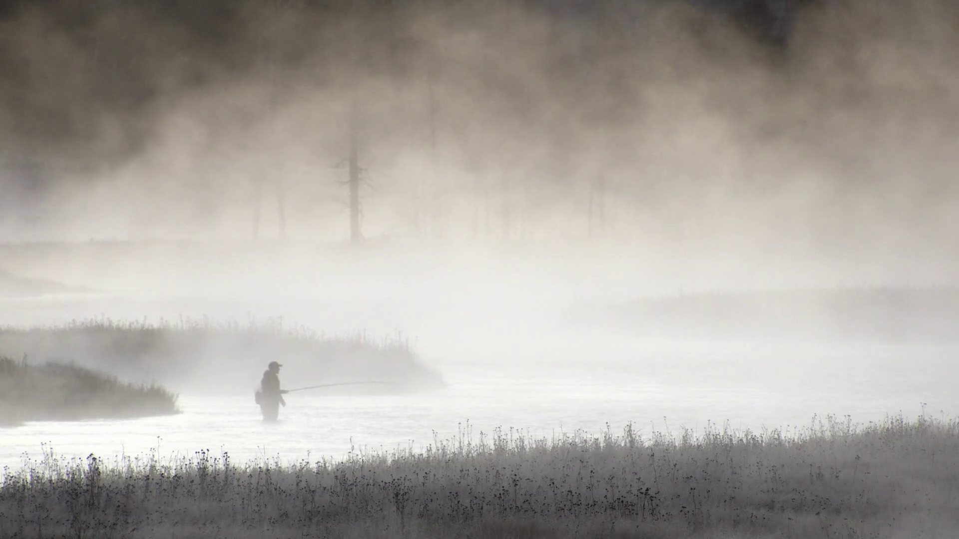 Fly Fisherman Casting Fog Rises From River Stock Footage SBV-348696082 ...