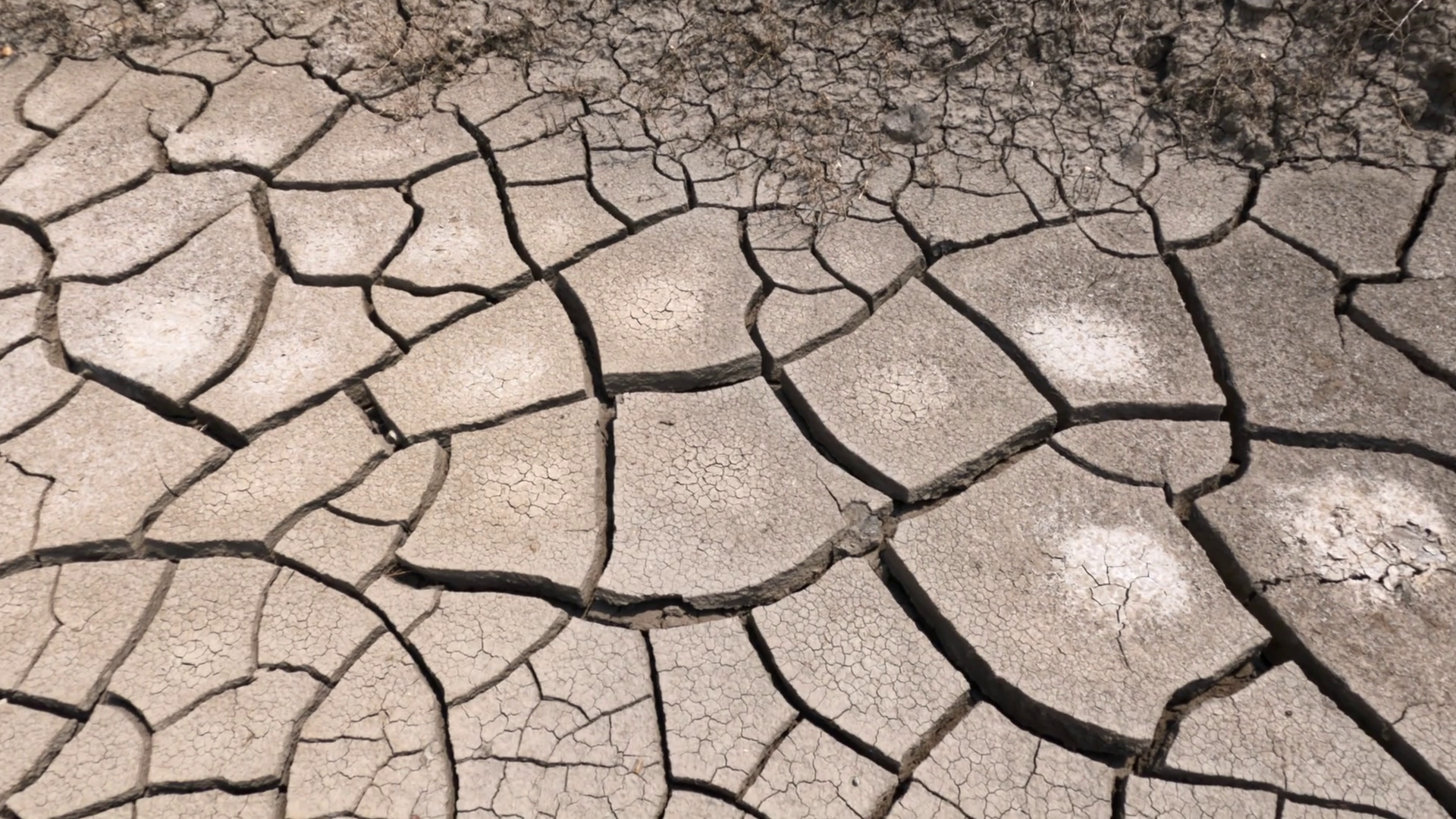 Lifting Up Dried Mud Chunks From Drought In Stock Footage SBV-348549401 ...