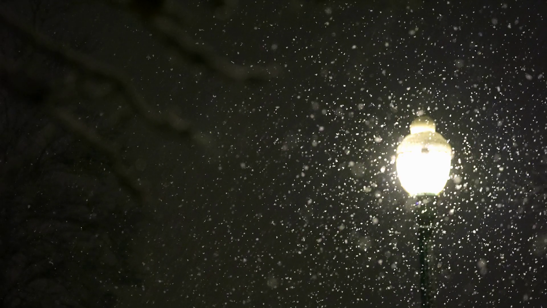 Snow Falling Lit Up Street Light At Night Stock Footage SBV-348557086 ...