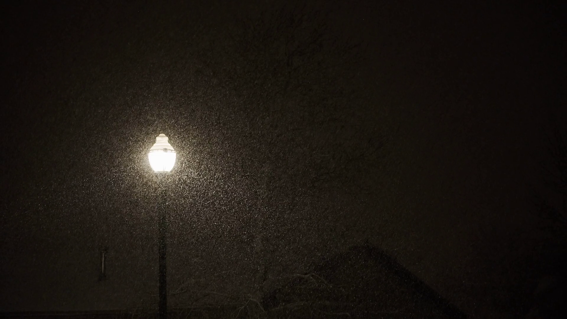 Snow Falling At Night With Single Street Stock Footage SBV-348403768 ...