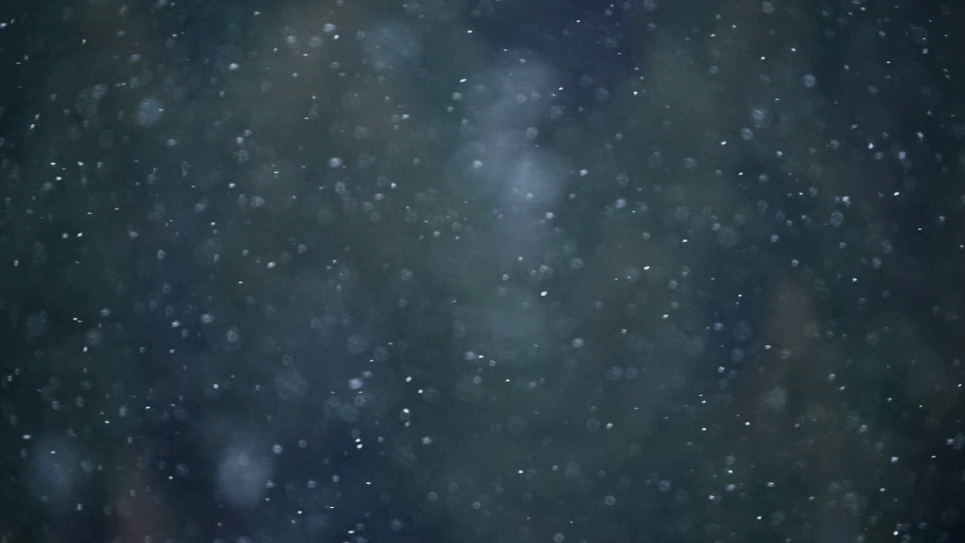 Snow Floating Through Air During Light Stock Footage SBV-348747763 ...