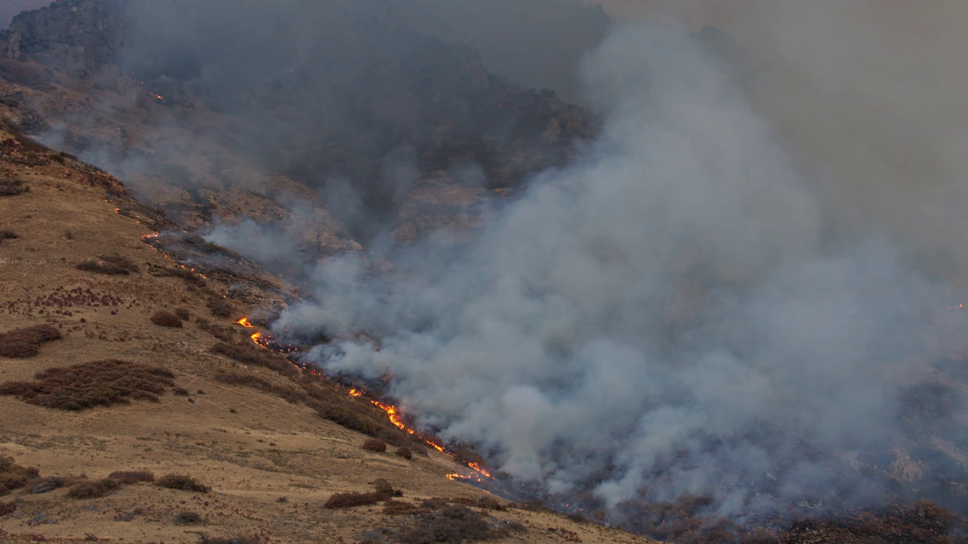 Smoke Filling Sky Wildfire Burns Across Face Stock Footage SBV ...