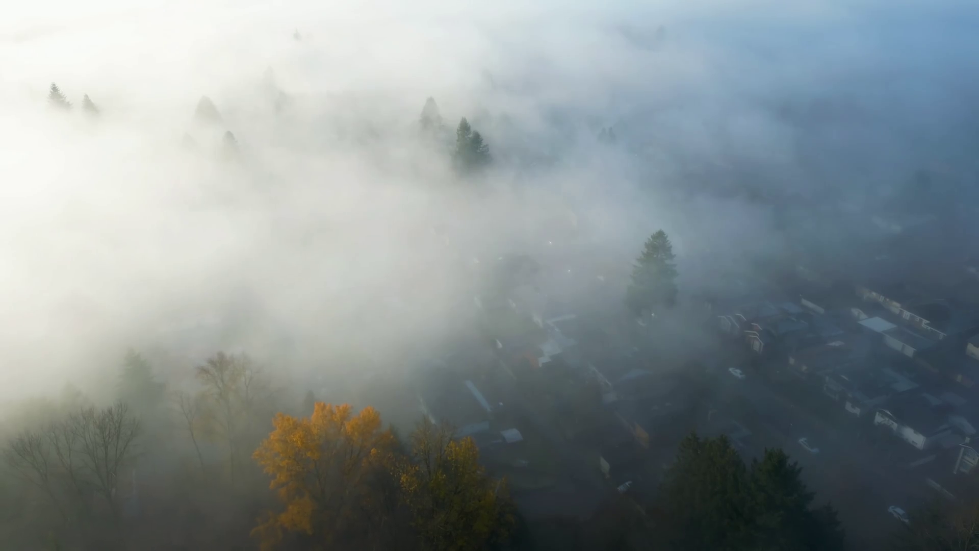Neighborhood Streets Homes Covered In Fog Stock Footage SBV-348713684 ...